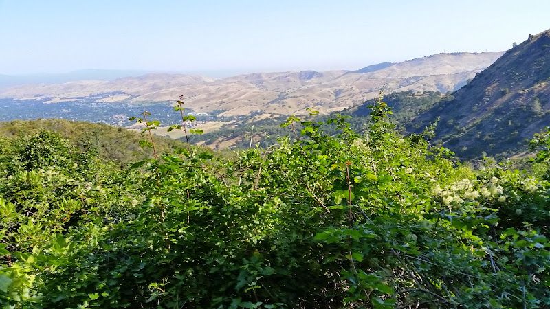 Dana Hills Swim Team Pool, Clayton - The Swimming Academy