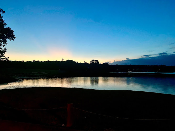 Elkins Lake Olympic Pool - The Swimming Academy