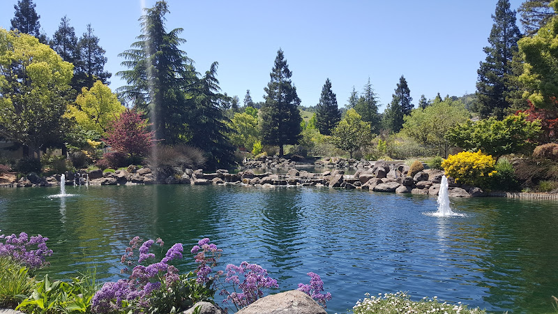 Seven Springs Swimming Pool - The Swimming Academy